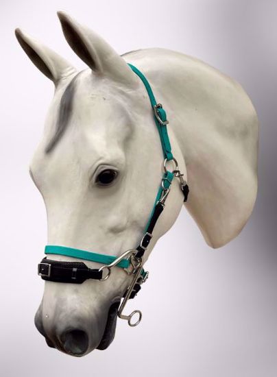 Moss Rock Endurance-No Brow Halter Bridle with Bit Hangers