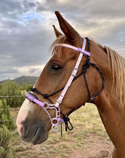 Moss Rock Endurance-Bridle Converter (straight cheek pieces)