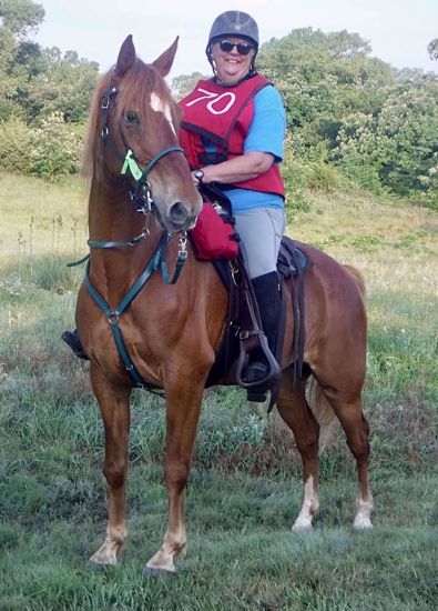 Moss Rock Endurance-Halter Bridle Convertible