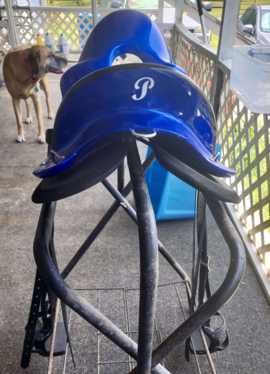 Moss Rock Endurance-Pandora Saddle, SOLD!