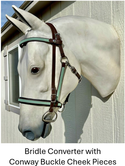 Moss Rock Endurance-Halter Bridle Convertible