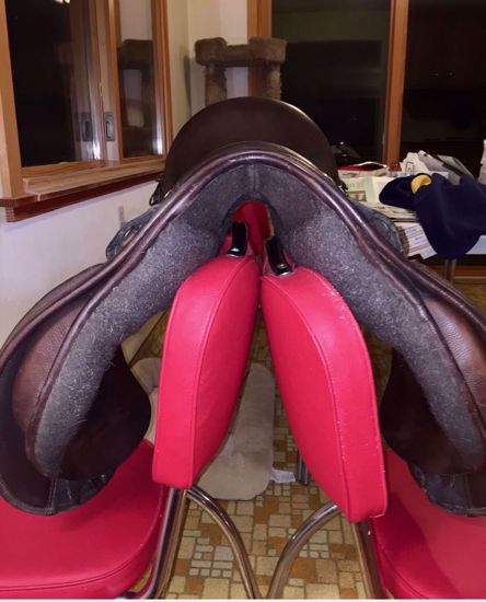 Moss Rock Endurance-Arabian Saddle Company Solstice, SOLD!